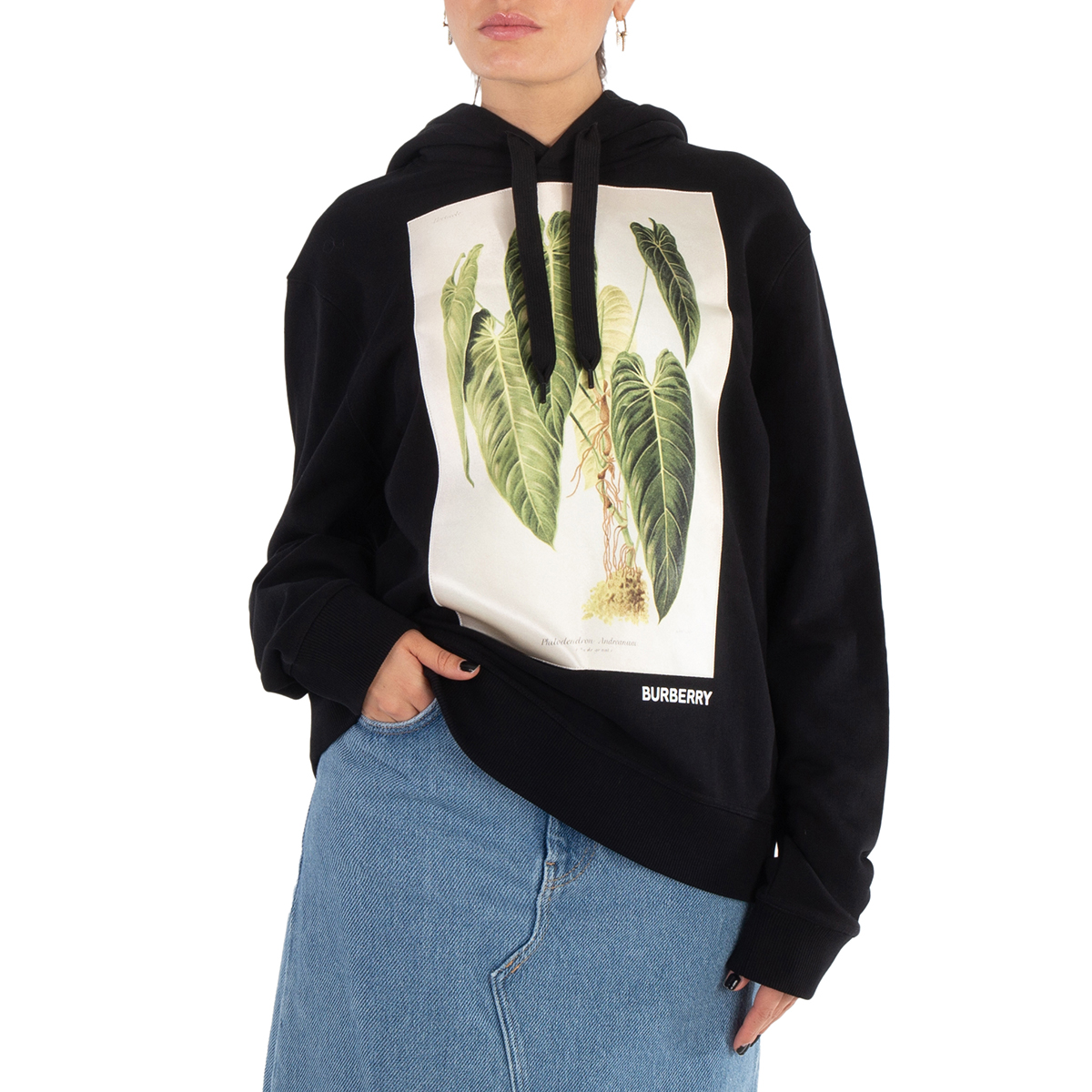 Burberry Cotton Botanical Graphics Print Hoodie, Size Medium 8057025 ...
