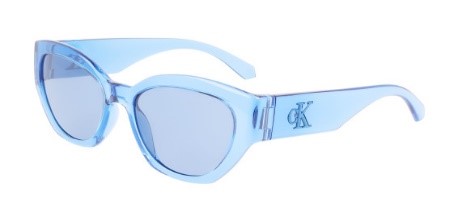 Calvin Klein Light Blue Cat Eye Ladies Sunglasses CKJ22634S 410 55 ...