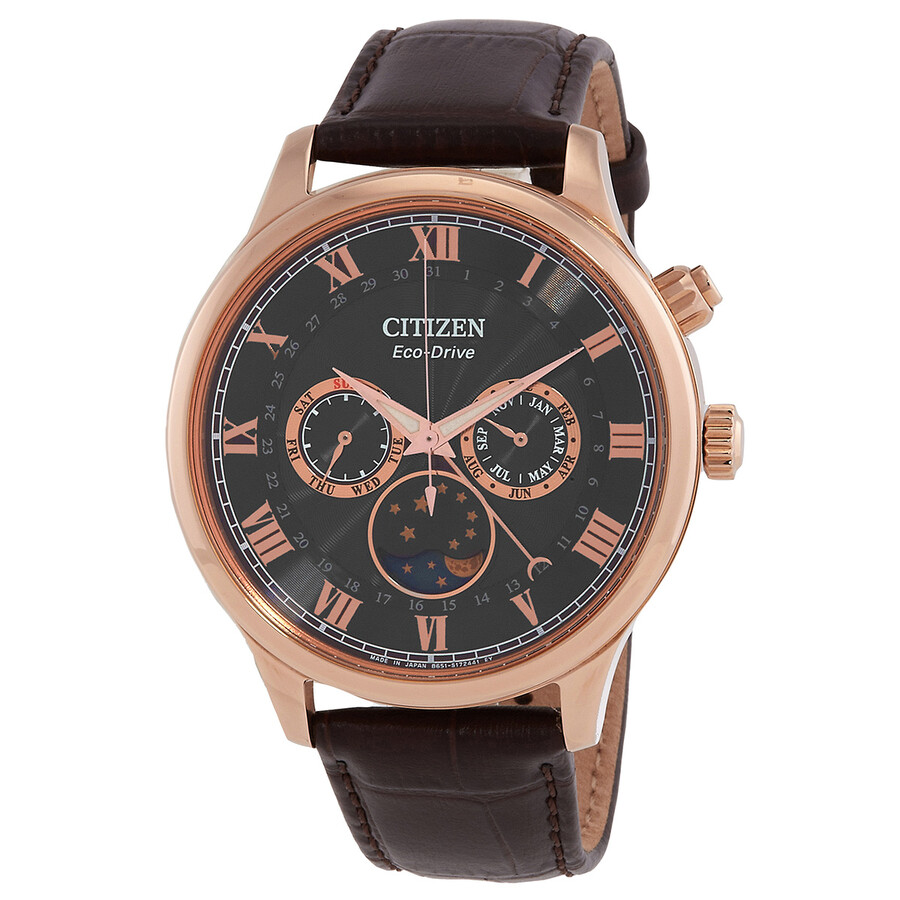 Citizen Moon Phase Eco-Drive Black Dial Men's Watch AP1059-19E ...