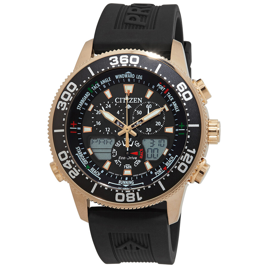 Citizen Perpetual Alarm World Time Chronograph Analog-Digital Black ...