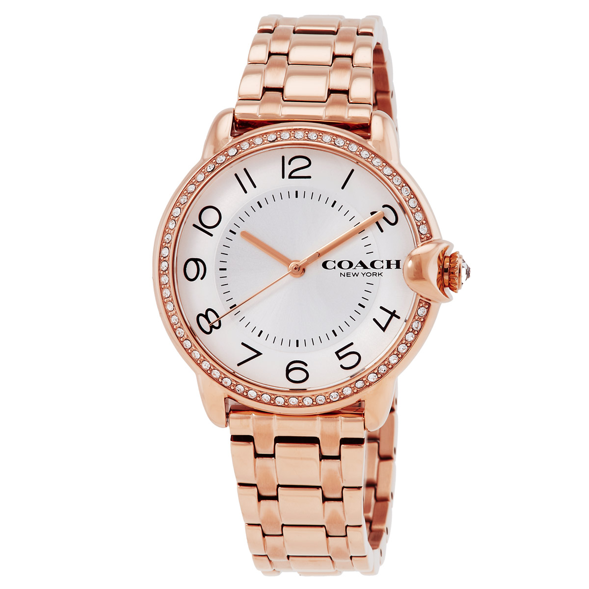 Coach Arden Quartz Ladies Watch 14503809 885997412933 - Watches, Arden ...
