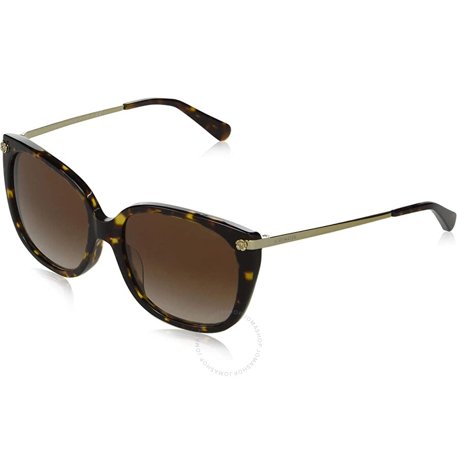 Coach Brown Gradient Cat Eye Ladies Sunglasses Hc8272 512013 56 725125029728 Sunglasses Jomashop