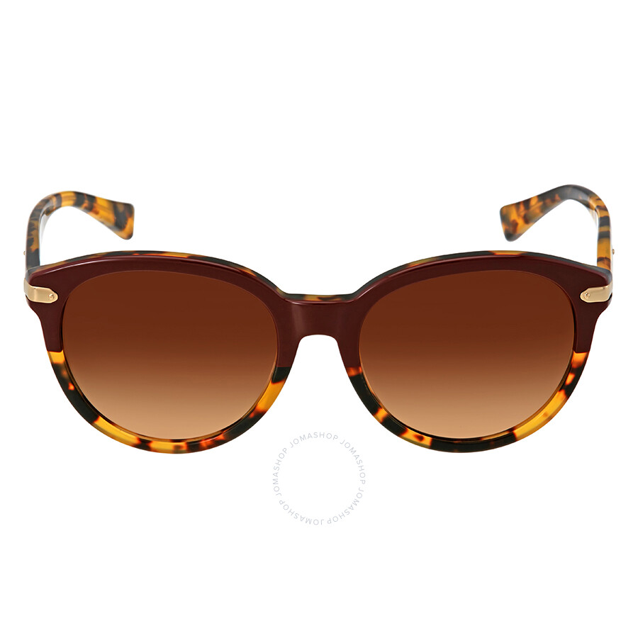 Coach Brown Gradient Sunglasses - Coach - Sunglasses - Jomashop