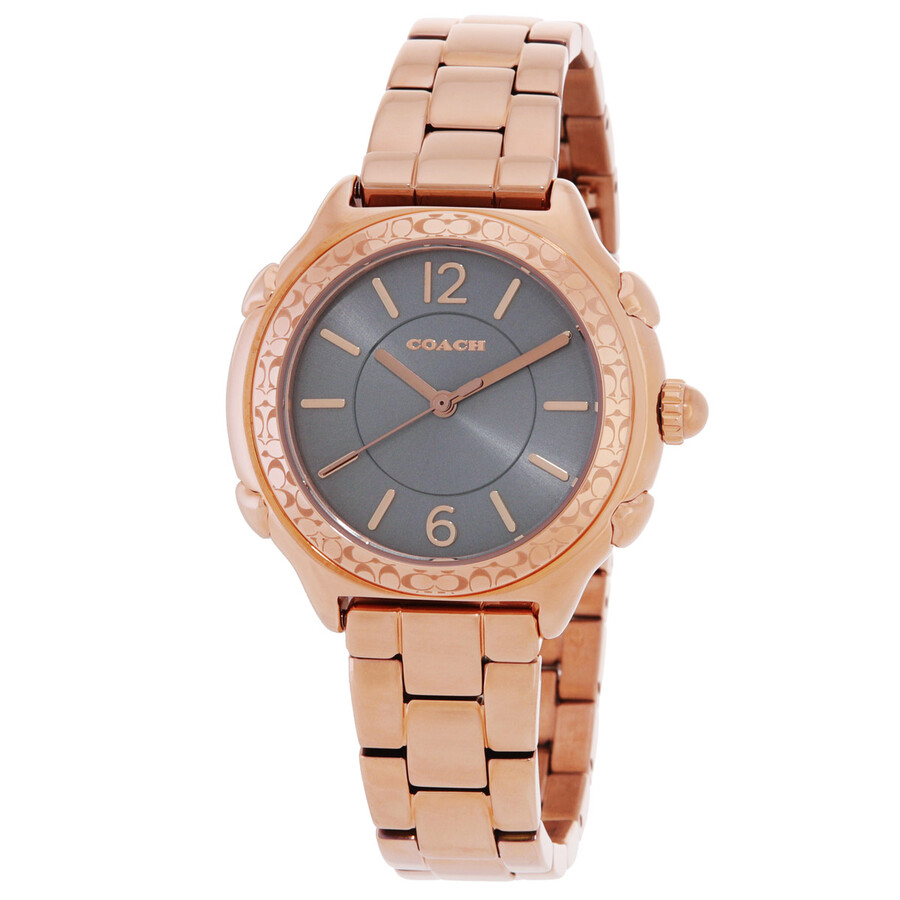 Coach Suzie Quartz Silver Dial Ladies Watch 14503963 - Watches, Suzie - Jomashop