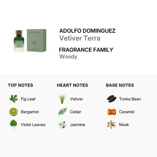 adolfo dominguez promo code