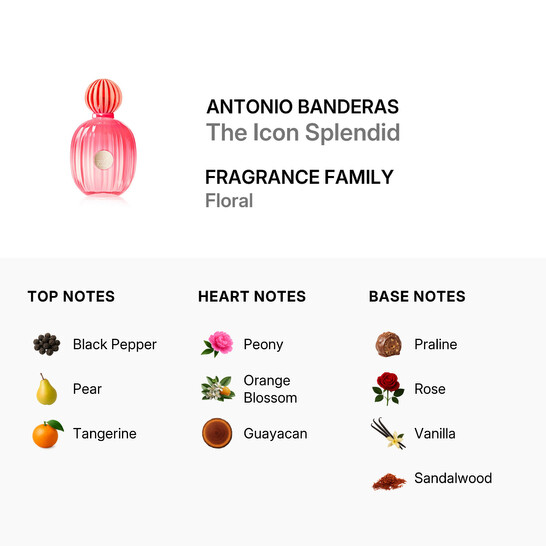 Antonio Banderas Ladies The Icon Splendid EDP Spray 3.4 oz Fragrances ...