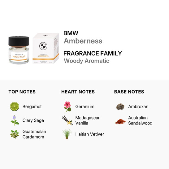 Bmw Unisex Amberness EDP Spray 3.4 oz Fragrances 679602602112 ...
