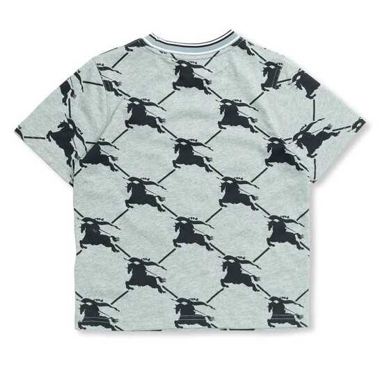 Burberry Boys Alexander Ekd Cotton T-Shirt, Size 6Y 8069277 - Clothing - Jomashop