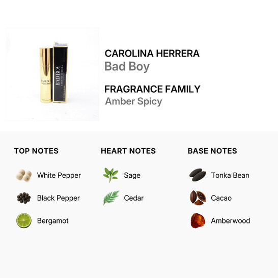 Carolina Herrera Men's Bad Boy EDT Spray 0.34 oz Fragrances ...