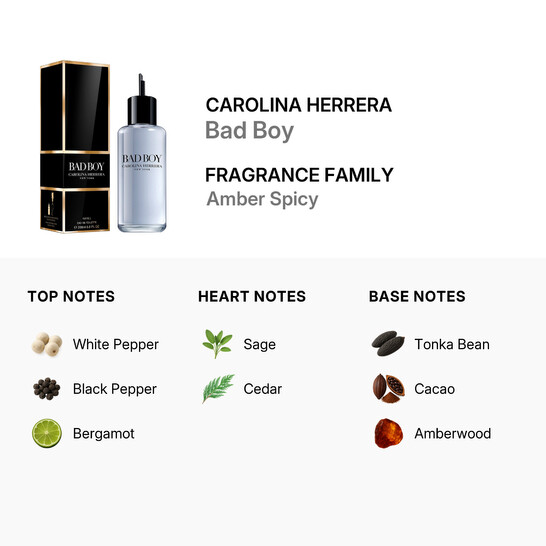 Carolina Herrera Men's Bad Boy EDT Spray 6.7 oz Refill Fragrances ...