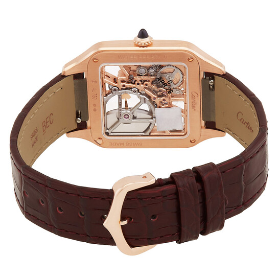 Cartier Santos-Dumont Large Model Skeleton With Micro Rotor Automatic ...