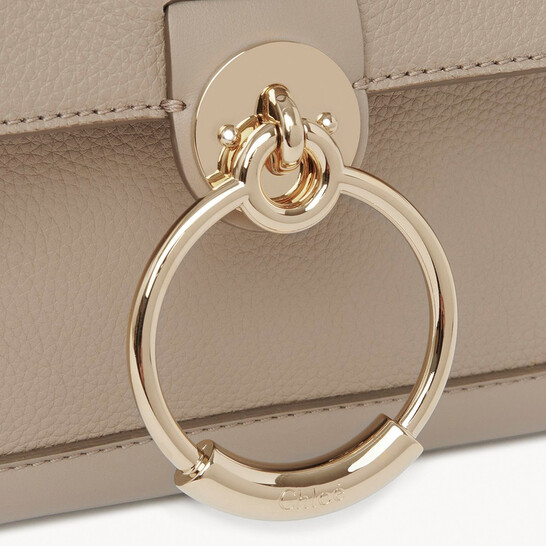 Chloé Motty Grey Tess Mini Handbag CHC22SS143G3323W 7613386127990 ...