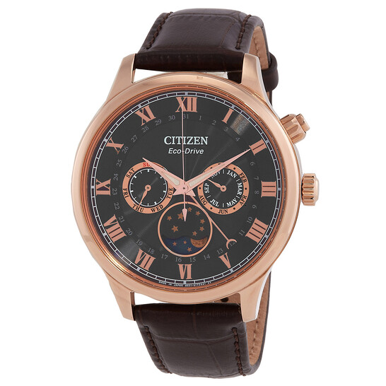 Citizen Moon Phase Eco-Drive Black Dial Men's Watch AP1059-19E ...