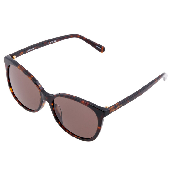 Coach Dark Brown Square Ladies Sunglasses HC8271U 512073 57 ...