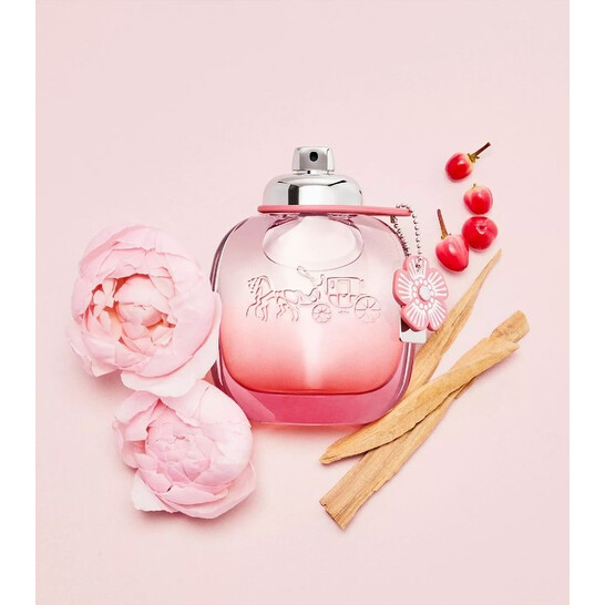 Coach Ladies Floral Blush EDP Spray 3 oz (90 ml) 3386460108119 ...