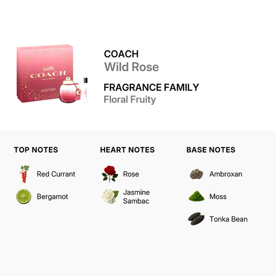 Coach Ladies Wild Rose 2pcs EDP Gift Set Fragrances 3386460133159 ...