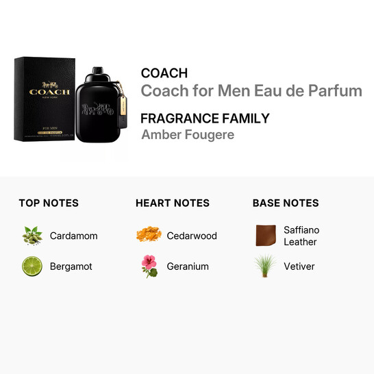coach perfume description