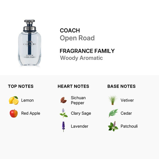 Coach Men's Open Road EDT Spray 1.3 oz Fragrances 3386460126649 ...