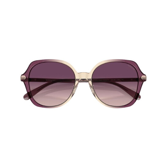 Coach Purple Gradient Oversized Sunglasses HC8377U 57737W 55 ...