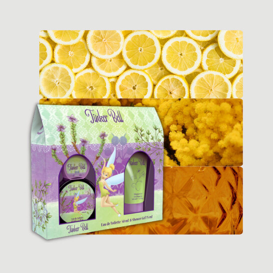 tinkerbell gift box