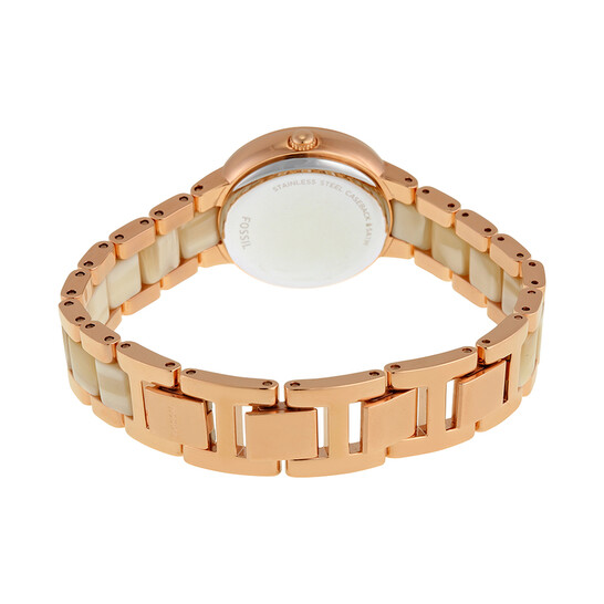Fossil Virginia Rose Dial Rose Gold-tone and Horn Acetate Ladies Watch ...