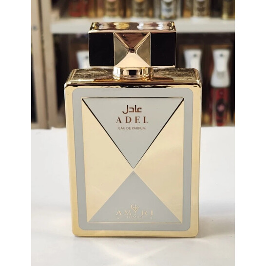 Hamidi Unisex Adel Amiri EDP Spray 3.4 oz Fragrances 6295199800607 ...