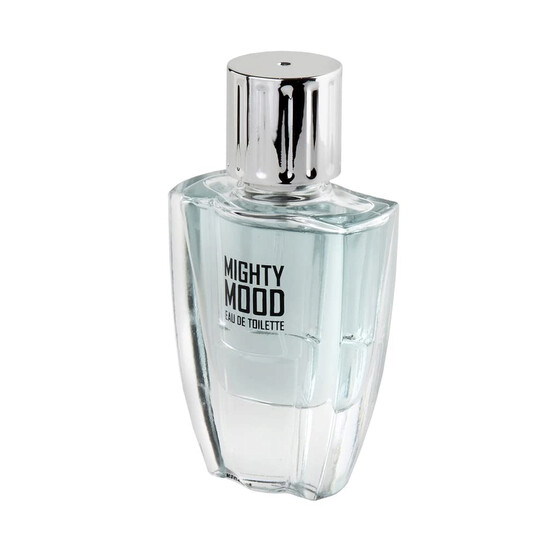 Linn Young Men's Mighty Mood EDT Spray 3.3 oz Fragrances 8715658390251 ...