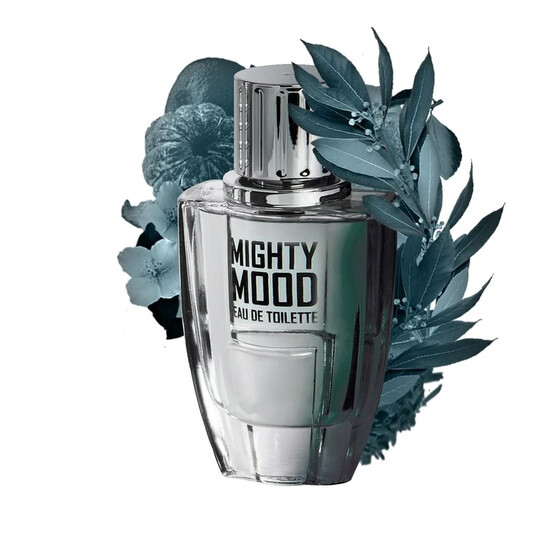Linn Young Men's Mighty Mood EDT Spray 3.3 oz Fragrances 8715658390251 ...