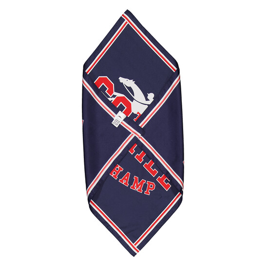 Longchamp Team Longchamp Silk Square Scarf 50637GSO006 3597922681952 ...