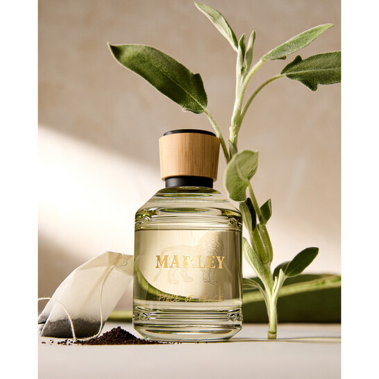 Marley Fragrance Unisex Place of Peace EDP Spray 3.4 oz Fragrances ...