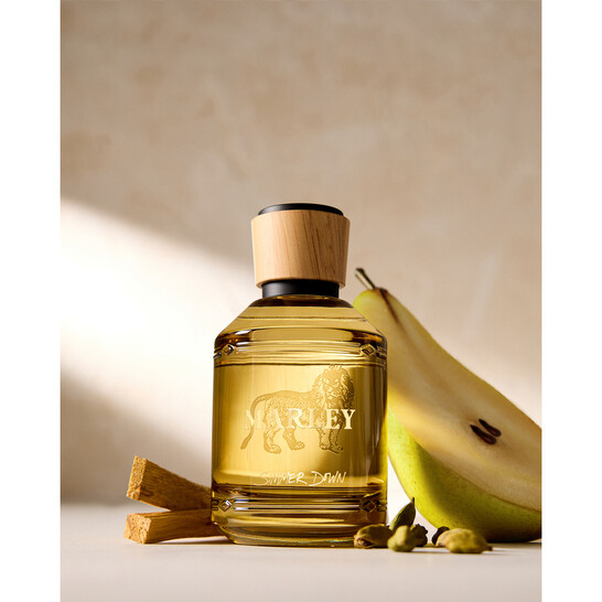 Marley Fragrance Unisex Simmer Down EDP Spray 3.4 oz Fragrances ...