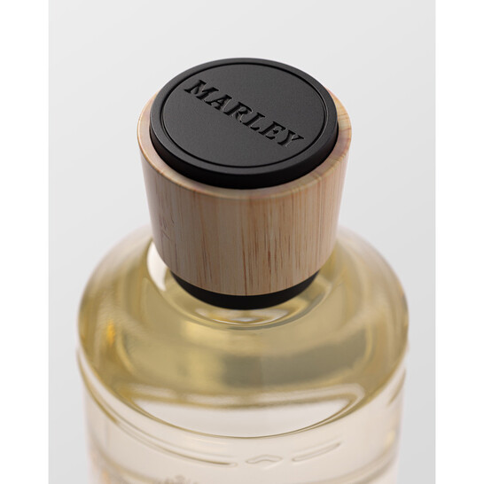 Marley Fragrance Unisex Soul Rebel EDP Spray 3.4 oz Fragrances ...