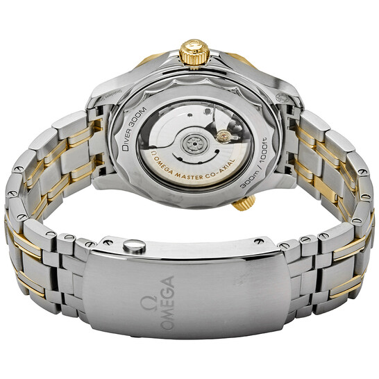 Omega Diver 300M Automatic Chronometer Black Dial Men's Watch 210.20.42 ...