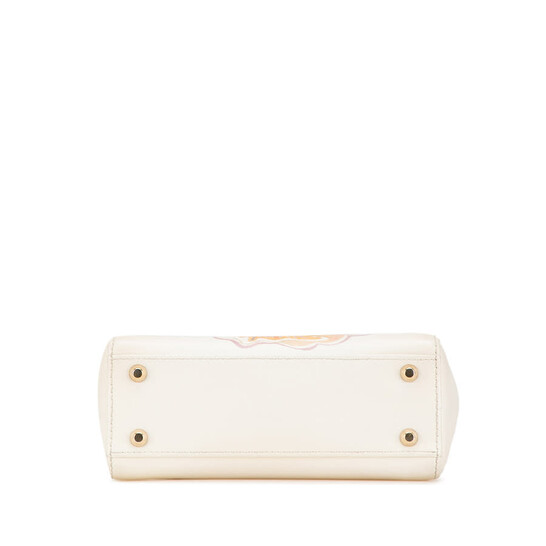 Dior Pre-owned Dior DiorAmour Niki De Saint Phalle Mini Calfskin ...