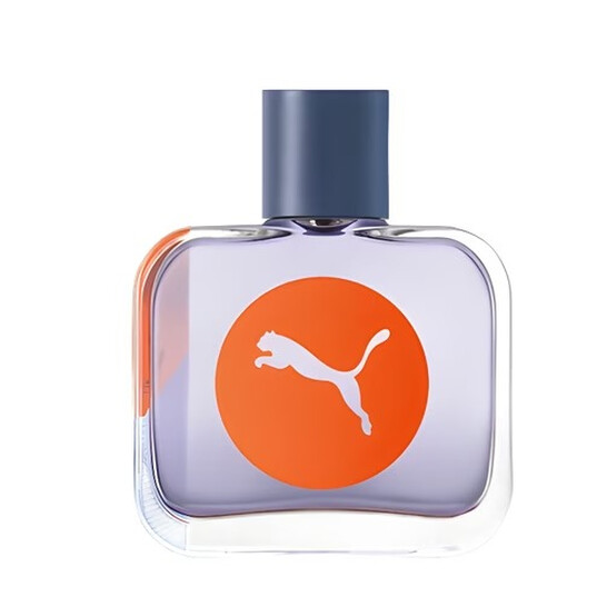 Puma Men's Sync EDT Spray 3 oz Fragrances 737052695013 - Fragrances ...