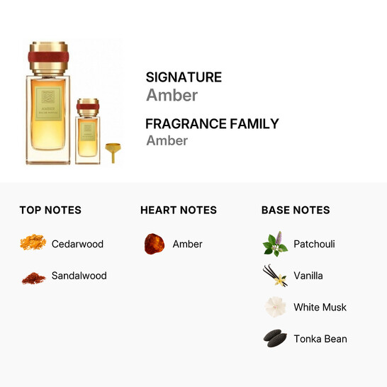 Signature Unisex Amber Gift Set Fragrances 3760294350188 - Fragrances ...