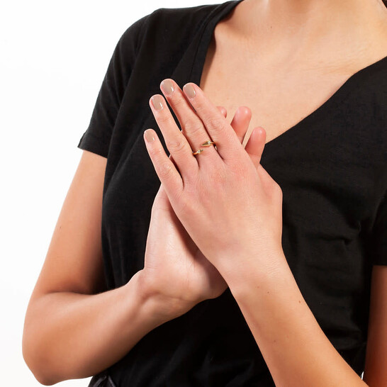 Sole Du Soleil Lupine Collection Women's 18k YG Plated Spike Fashion ...