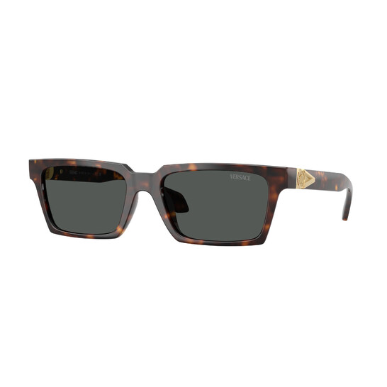 Versace Dark Grey Rectangular Men's Sunglasses VE4490U 108/87 55 8056262422359 - Sunglasses ...