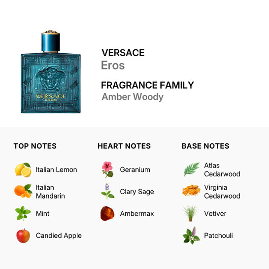 versace circle perfume