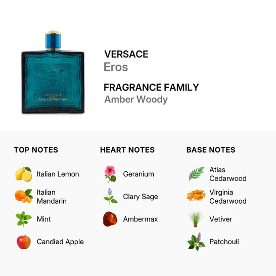 versace versus perfume notes
