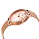Emporio Armani Quartz Crystal Pink Dial Ladies Watch AR11129 ...