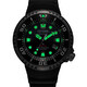 Citizen Promaster Black Dial Men's Watch BN1024-01E 4974374345394 ...