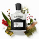 Creed Aventus / Creed EDP Spray 3.3 oz (100 ml) (m) 3508441001114 ...