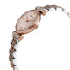 Emporio Armani Quartz Pink Dial Ladies Watch AR11223 723763279888 ...