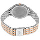 Emporio Armani Quartz Silver Dial Two-tone Ladies Watch AR11113 ...