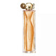 Givenchy Ladies Organza EDP 1.7 oz Fragrances 3274872456679 ...