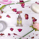 Rasasi Ladies Sonia Perfume Oil 0.5 oz Fragrances FP78001 614514780961 ...