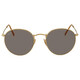 Ray-Ban Round Washed Evolve Grey Photocromic Unisex Sunglasses RB3447 9064V8 53 8053672926330 ...
