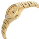 Seiko 5 Automatic Gold Dial Ladies Watch SYMA38K1 - Watches, Stainless ...