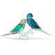 Swarovski Crystal Jungle Beats Parakeet Couple Fife & Fifer Figurine ...